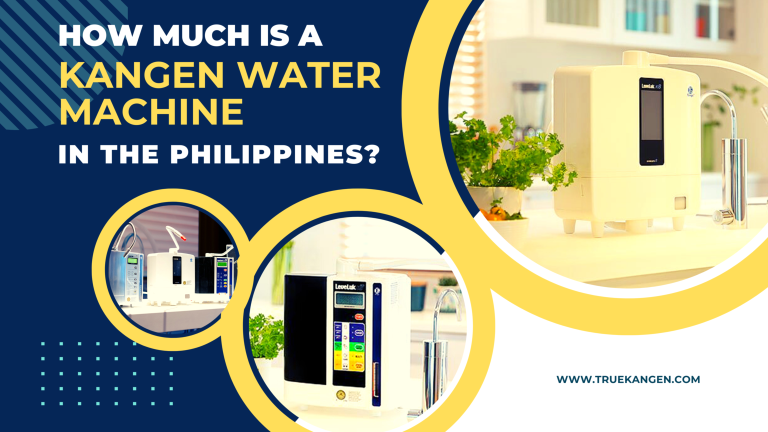 How Much Is a Kangen Water Machine in the Philippines? (2026 Price ...
